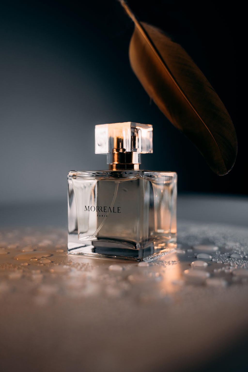 Morreale Paris® | Official Store | Discover The New Collection